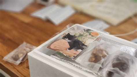 20250623 오늘도 휘낭시에 택배 시작합니다 Youtube