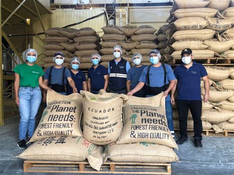 17 Toneladas De Café Ecuatoriano Orgánico Y Libre De Deforestación