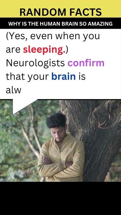 Amazing Random Facts Human Brain Fascinating Brain Facts Fypシ