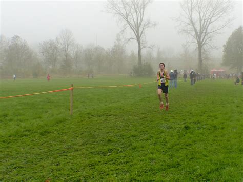 무료 이미지 잔디 안개 스포츠 들 목초지 달리는 녹색 금연 건강 증진 협회 교차로 벨기에 경주 경쟁 팀 선수권 대회 Xc 앤트워프 Necis