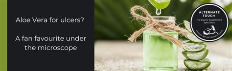 Aloe Vera A Fan Favourite Under The Microscope Alternate Touch