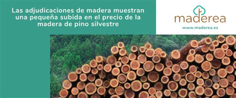 Subida En El Precio De La Madera De Pino Silvestre Maderea
