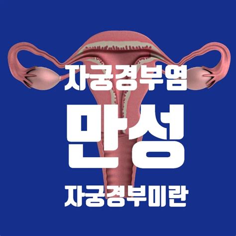 대구자궁경부염 자궁경부미란 치료해야되는 이유 네이버 블로그