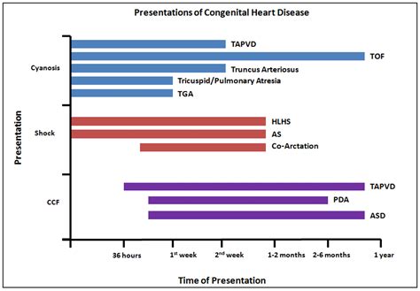 Congenital Heart Disease
