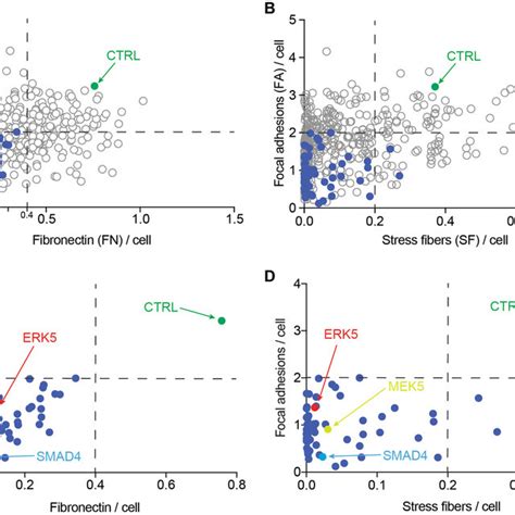Kinome And Phosphatome Wide Sirna Library Screen A Schematic