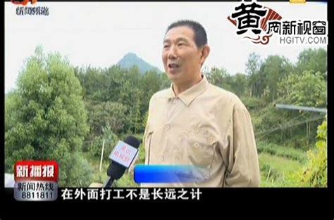 英山 黃文生貧困戶創業成養雞大戶 每日頭條