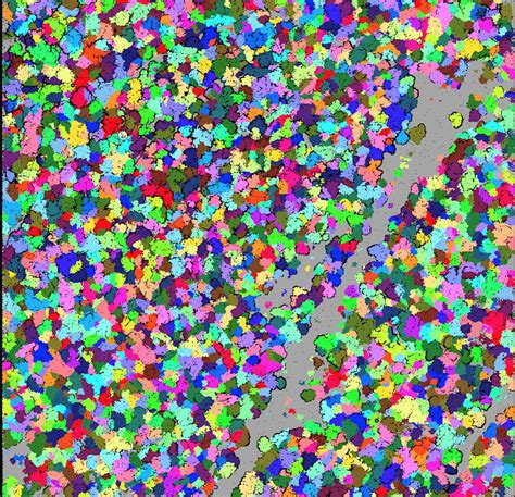 How Aerial Lidar Can Help With Tree Counting Cooper Aerial Surveys Co