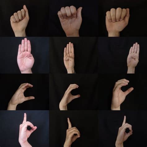 Sample Images From Hand Reader Dataset Download Scientific Diagram