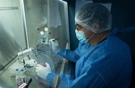 Aseguran Que Un Análisis De Sangre Podría Detectar Hasta 50 Tipos De