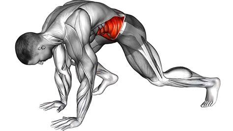 5 Minute Plank Challenge To Lose Belly Fat In 7 Days Youtube