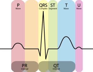 Épinglé sur interesting
