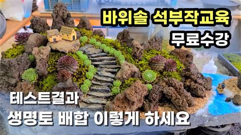 바위솔 석부작 교육 과 생명토배합방법 용설이네 에서 무료수강 하세요 Youtube