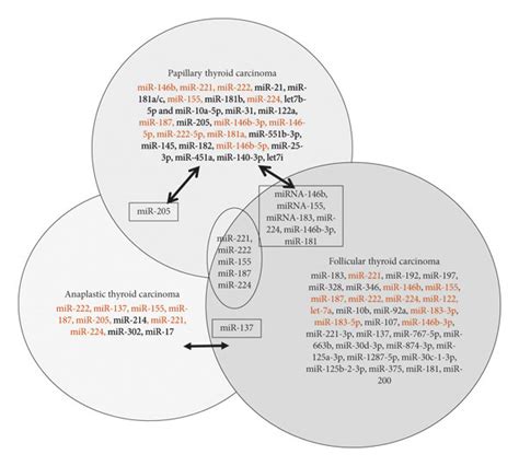 A Upregulated Mirnas B Downregulated Mirnas Download Scientific