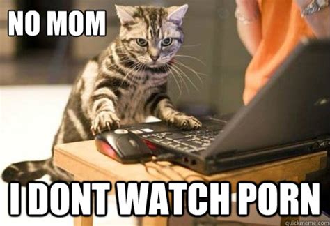 Angry Computer Cat Memes Quickmeme