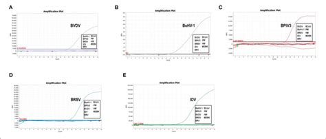 Analytical Specificity Of The Primer Probe Sets Used In The One Step Download Scientific
