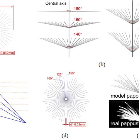 Three Dimensional View Of The Computed Separated Vortex Ring In Case 6 Download Scientific