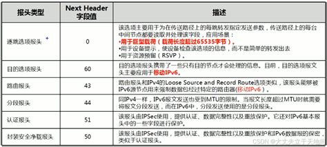 ipv6的报头 ipv6报头 csdn博客