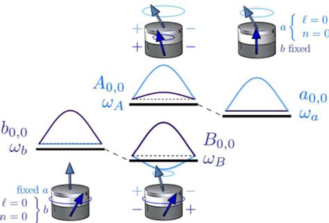 Color Online Schematic Representation Of The Coupled Dynamics Between