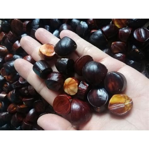 Buah Kerdas Kopek Genuak Buah Kabau Kerdas Shopee Malaysia