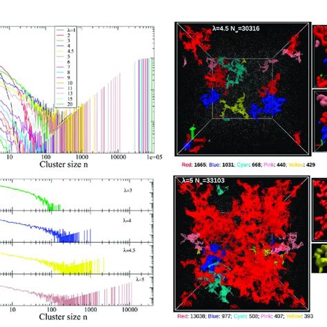 A Quantitative Cluster Size Distribution From A Distance Based