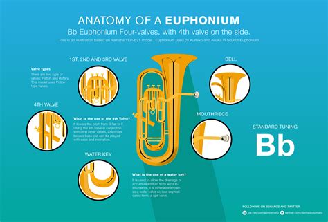 Sound Euphonium Fan Made Card Anatomy Of A Euphonium Behance