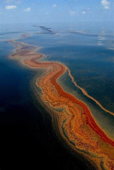 Bp Oil Spill Forces Rethinking On Offshore Drilling