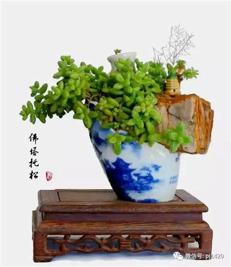 廢酒瓶千萬別扔，大有用處 每日頭條