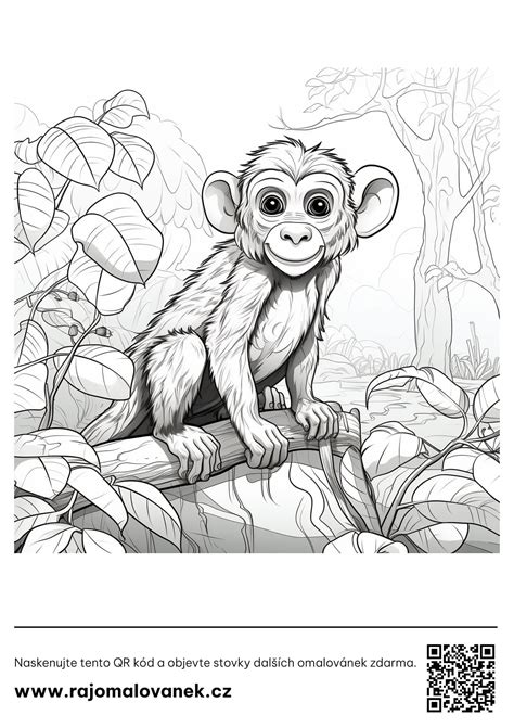 Kolorowanki Z Małpami Drukuj Za Darmo I Koloruj