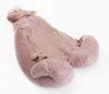 Sheep Uterus With Embryo Dissection Specimen