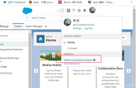 Salesforce开发教程上下 Csdn博客