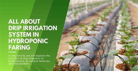 Hydroponic Drip Irrigation System For Garden Plants Betilife™