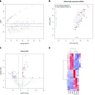 Macrophage Exosome MiRNAs Differential Expression Analysis A
