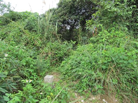 單一照片 馬克經驗1732 登山小百岳018南勢角山尖山尖山東北峰尖山東南峰未果外挖子山柴埕尖南山福德宮南勢角山文筆