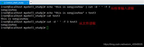 Shell脚本的学习心得和知识总结（一） 基础知识简介和常用命令shell脚本心得 Csdn博客