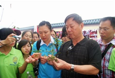 寻壮医之根 传壮医之魂 领民族风情 学院新闻 广西中医药大学壮医药学院