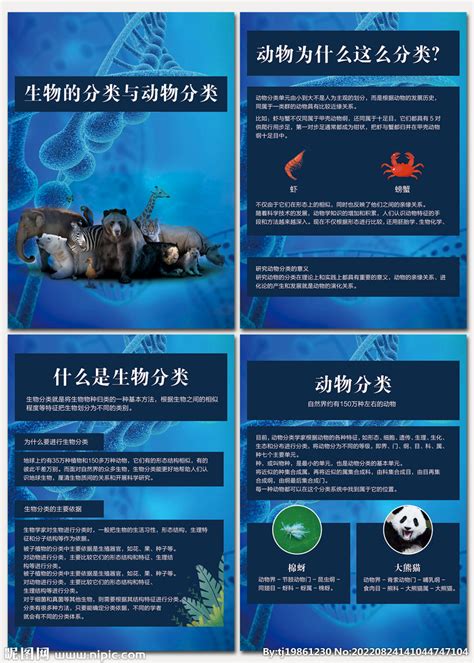 蓝色生物与动物的分类科普知识设计图 海报设计 广告设计 设计图库 昵图网nipic