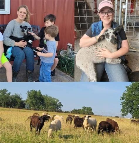 Summer Internship Program National Csa Directory