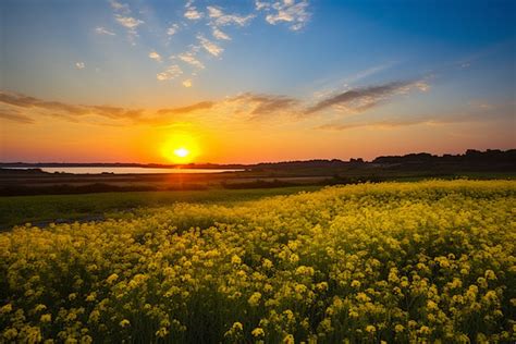 독도 배경 일러스트 독도 사진 및 배경 화면 무료 다운로드 Pngtree
