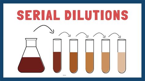 How To Solve Dilution Problems Microbiology At Sandra Gabrielson Blog