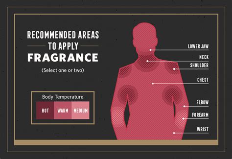 Is It Advisable To Wear Cologne On A Daily Basis Scent Urban