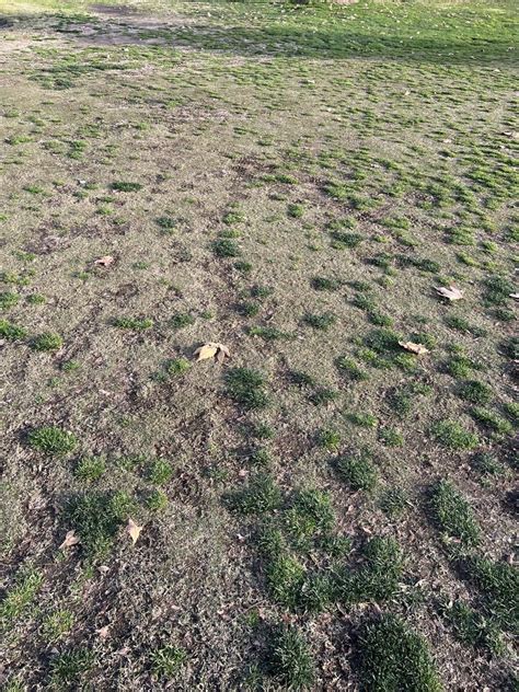 Arrowhead Country Club Updated June 2025 68 Photos And 71 Reviews