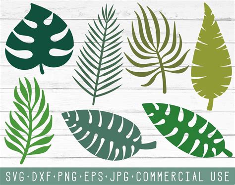Tropical SVG Leaves Cut Files Tropical Palm Fronds SVG Etsy