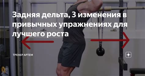 Задняя дельта, 3 изменения в привычных упражнениях для лучшего роста ...