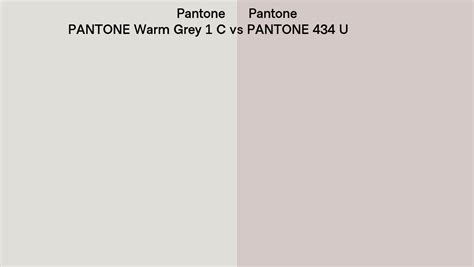 Pantone Warm Grey 1 C Vs Pantone 434 U Side By Side Comparison