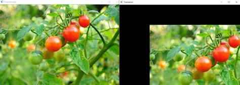 Image Translation Using Opencv Python Geeksforgeeks