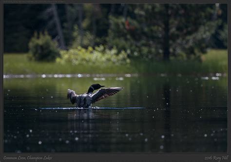 Selecting The Best Software Vendor AJAE Consulting Ltd