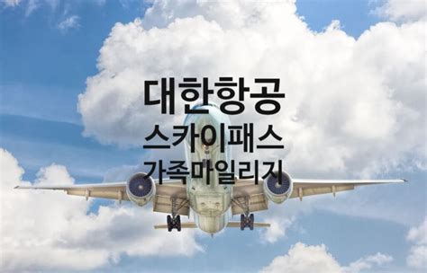 대한항공 스카이패스 가족 마일리지 합산 가족 등록 및 사용 네이버 블로그