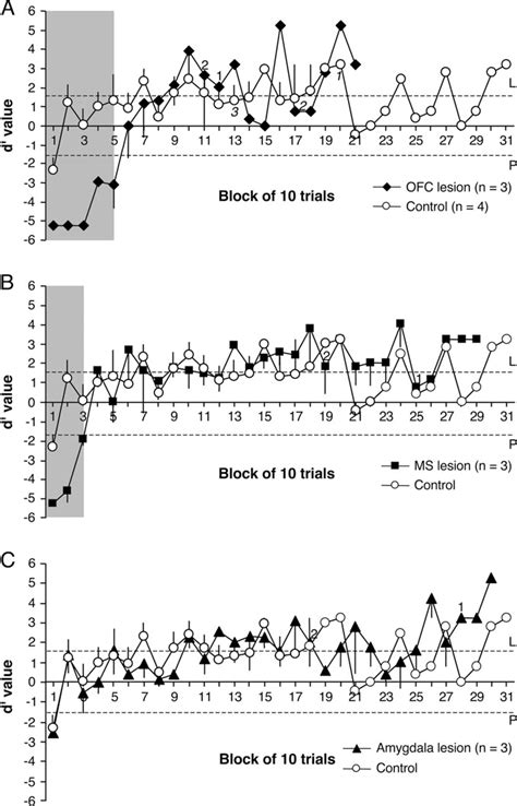 Figure 4 From The Role Of The Orbitofrontal Cortex And Medial Striatum In The Regulation Of