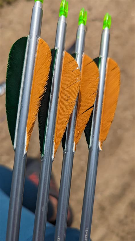 Shibuya Ultima Rest Damaging Fletching R Archery