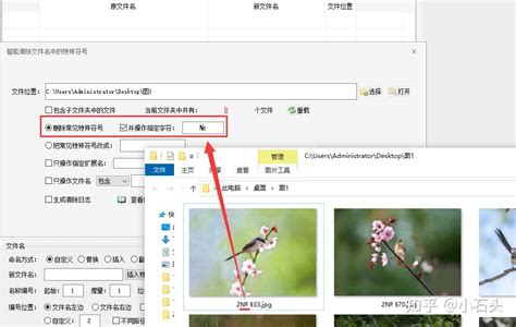 智能删除符号，文件重命名技巧：特殊符号影响找文件吗？来看看这个解决方法 知乎